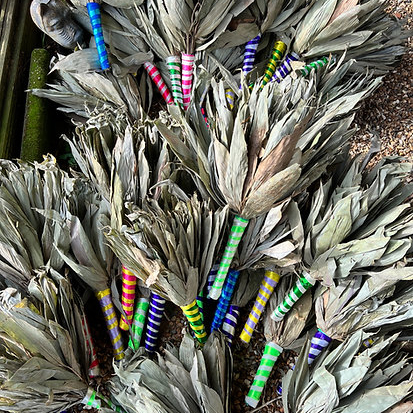 Amazonian Shacapa Rattle – Sungate