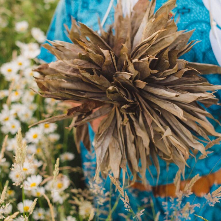 Shamanic Courses – Sungate